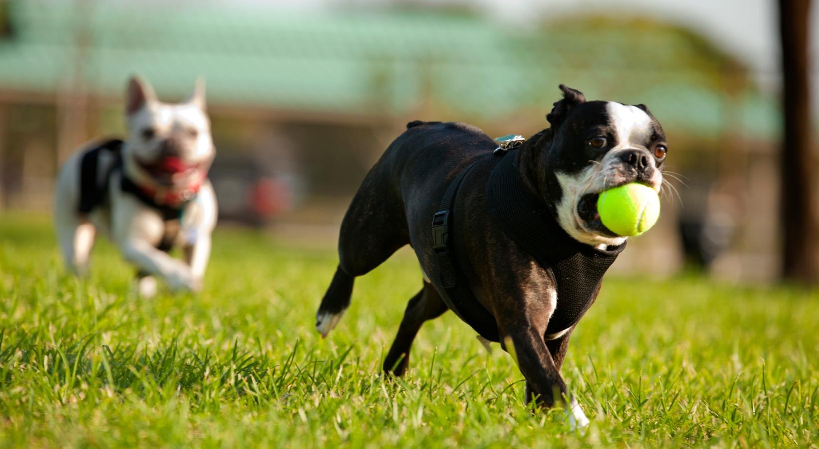 Contact | Santa Rosa Beach, FL apartments for rent | Sandbar